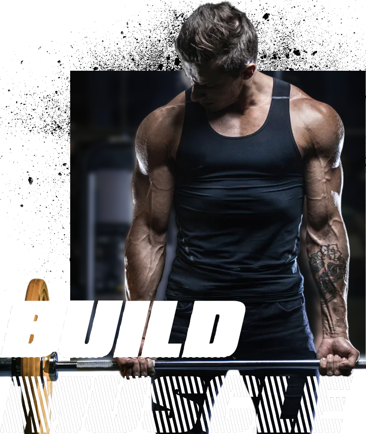 GSN - Great Sport Nutrition | Premium Protein, Whey, Supplements ...